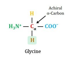 Amino Acids MCQ with Answer Key | EasyBiologyClass