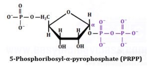 PRPP-structure-Phosphoribosyl-pyrophosphate-easybiologyclass ...