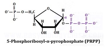 PRPP-structure-Phosphoribosyl-pyrophosphate-easybiologyclass ...