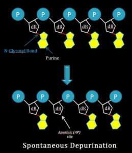 What is DNA Repair? How to Repair DNA Damage? | EasyBiologyClass