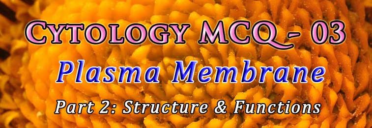 Cell Membrane Mcqs With Answers Pdf