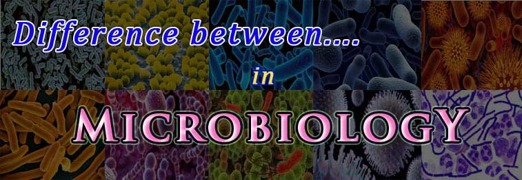 Difference between… (Microbiology) | EasyBiologyClass