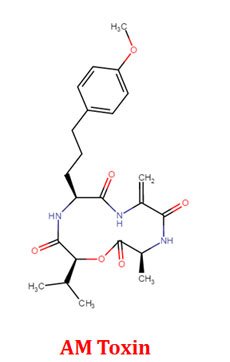 Role of Toxins in Plant Pathogenesis | EasyBiologyClass