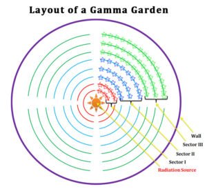 Gamma Garden | EasyBiologyClass