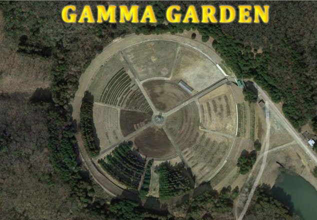 Gamma Garden | EasyBiologyClass
