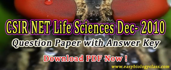 NET Dec 2010 Life Sciences Question Paper Solved | EasyBiologyClass NET Dec 2010 Life Sciences Question Paper Solved | EasyBiologyClass