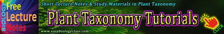 Plant Systematics | EasyBiologyClass