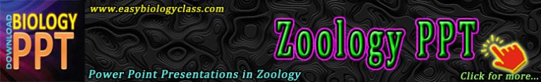 Zoology PPT and PPTX for Free | EasyBiologyClass