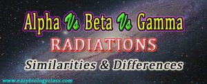 Difference between Alpha Beta and Gamma Rays | EasyBiologyClass