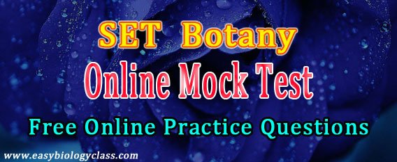 Botany Mock Test | EasyBiologyClass