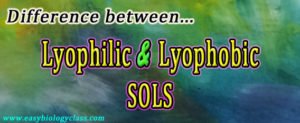 Compare Lyophilic Sol vs Lyophobic Sol | Easy Biology Class
