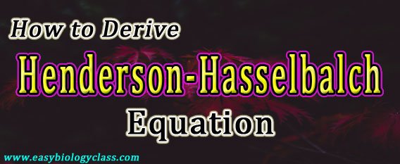 How to Derive Henderson Hasselbalch Equation | EasyBiologyClass