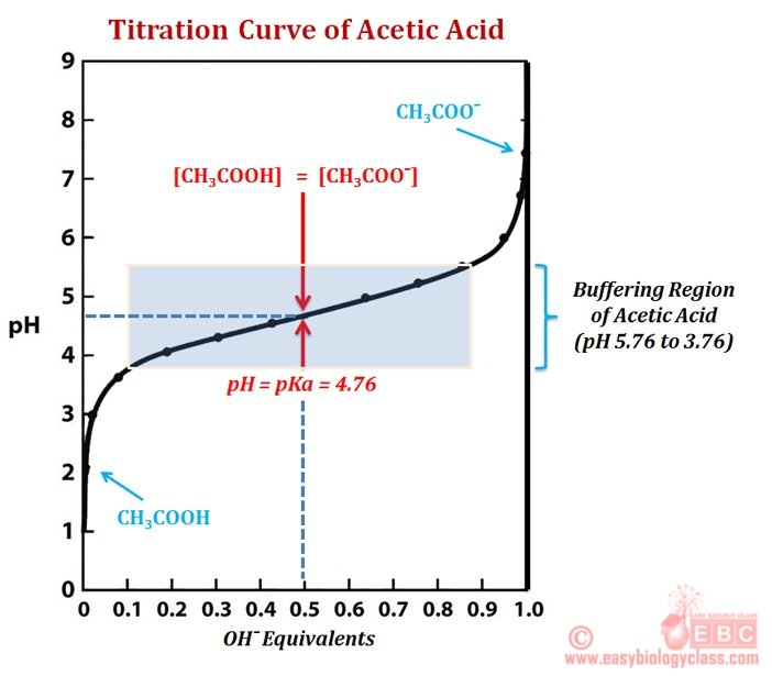 Buffer Region Titration Curve