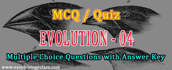 NEET Questions on Evolution | EasyBiologyClass