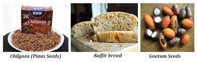 Economic Importance of Gymnosperms | EasyBiologyClass