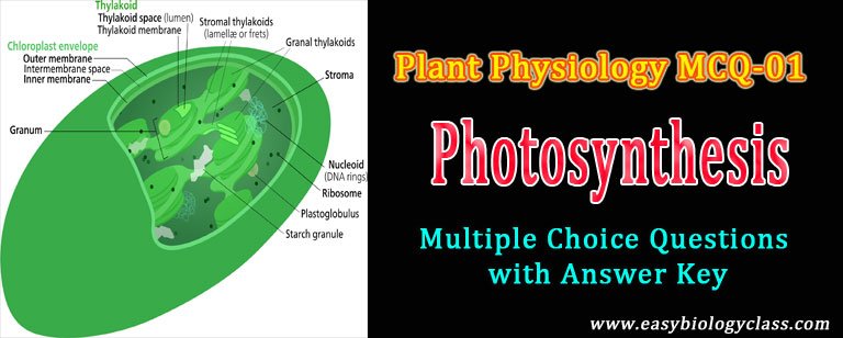 Photosynthesis in Higher Plants NEET Questions | EasyBiologyClass