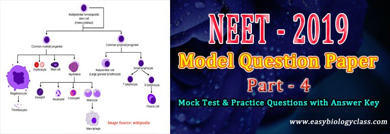 NEET 2019 Solved Question Paper (Model) | EasyBiologyClass