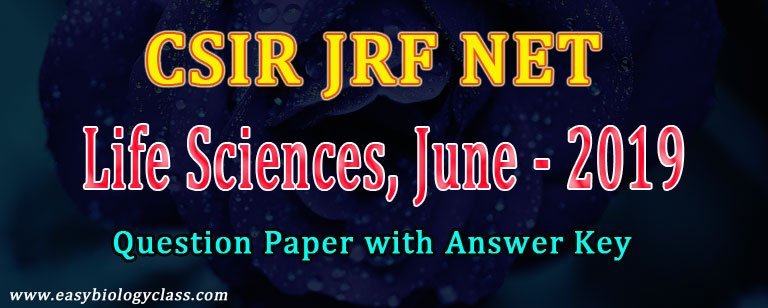 NET Life Sciences June 2019 Solved Paper | EasyBiologyClass NET Life Sciences June 2019 Solved Paper | EasyBiologyClass