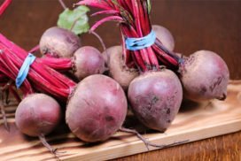 Anomalous Secondary Growth in Beetroot | EasyBiologyClass