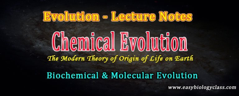 Molecular Evolution: Modern Theory of Origin of Life | Easy Biology Class