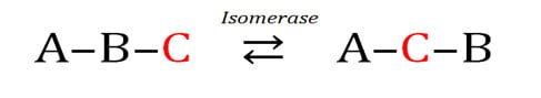 Isomerase