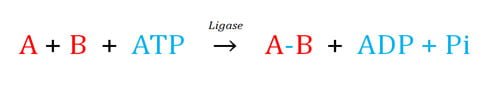 Classification of Enzymes Lecture Notes | Easy Biology Class