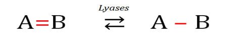 Classification of Enzymes Lecture Notes | EasyBiologyClass