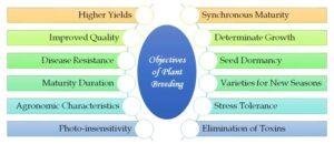 Objectives Of Plant Breeding Easybiologyclass