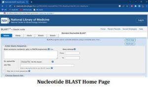 | EasyBiologyClass