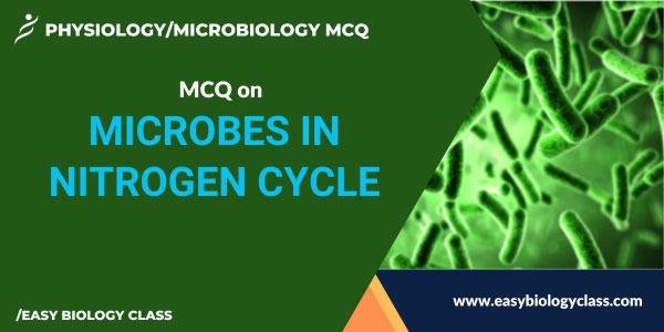 MCQ on Microbes in Nitrogen Cycle | EasyBiologyClass