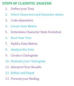 Methodology of Cladistics | EasyBiologyClass