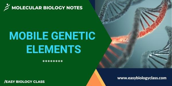 Mobile Genetic Elements | EasyBiologyClass