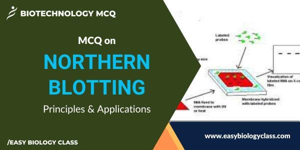 MCQ on Northern Blotting | EasyBiologyClass