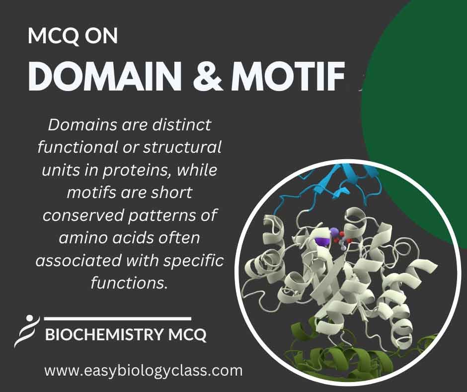 MCQ on Domains and Motifs | EasyBiologyClass