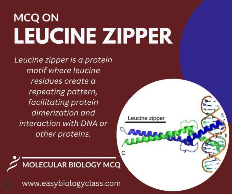 MCQ on Leucine Zipper Structure and Functions | EasyBiologyClass