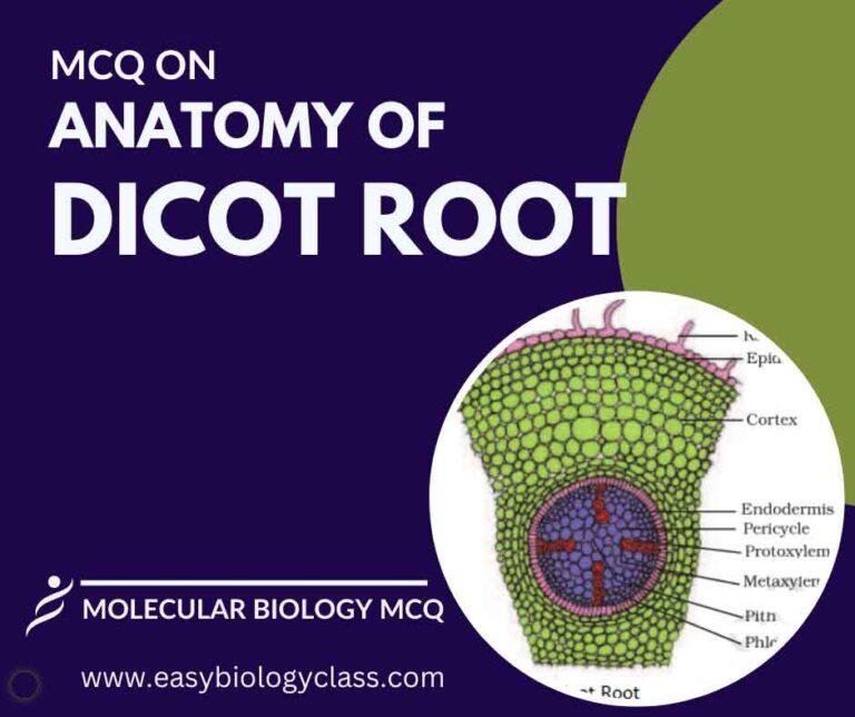 MCQ on Anatomy of Dicot Root | EasyBiologyClass
