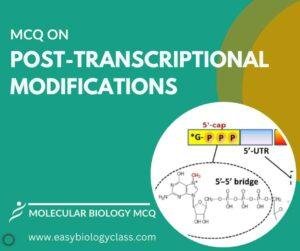 MCQ on Post Transcriptional Modification | EasyBiologyClass