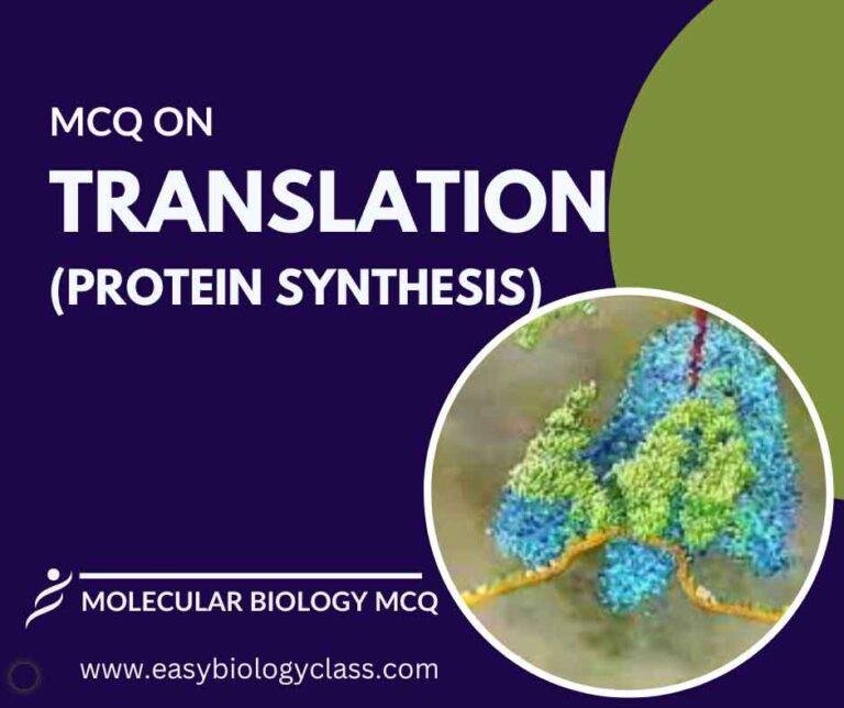 MCQ on Translation (Protein Synthesis) | EasyBiologyClass