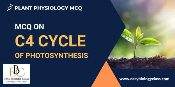 MCQ on C4 Cycle | EasyBiologyClass
